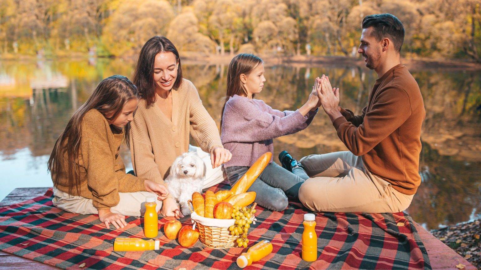 Celebrate National Family Day: 5 Fun Activities - Annie Baby Monitor