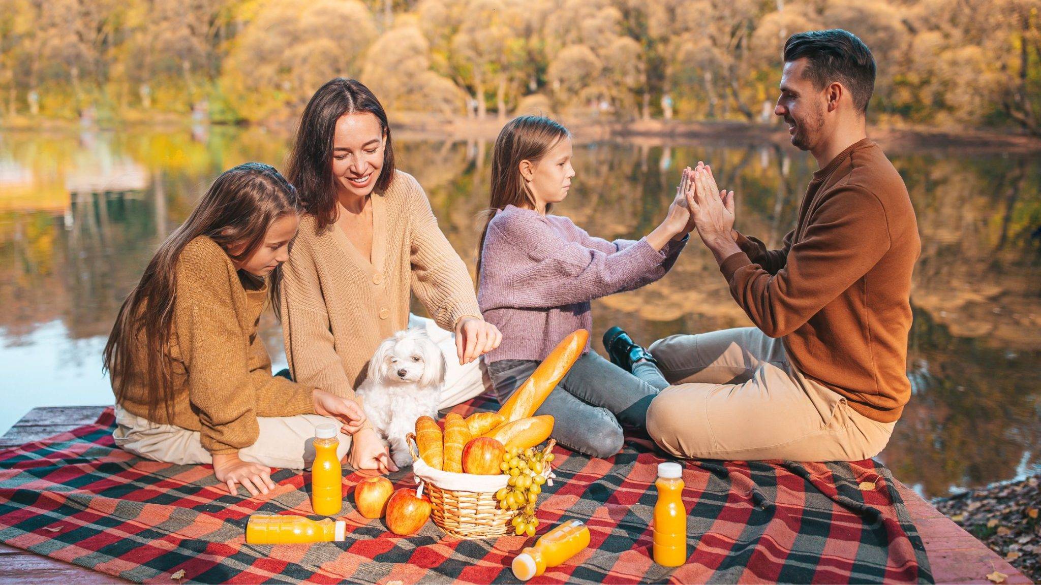 Celebrate National Family Day: 5 Fun Activities - Annie Baby Monitor