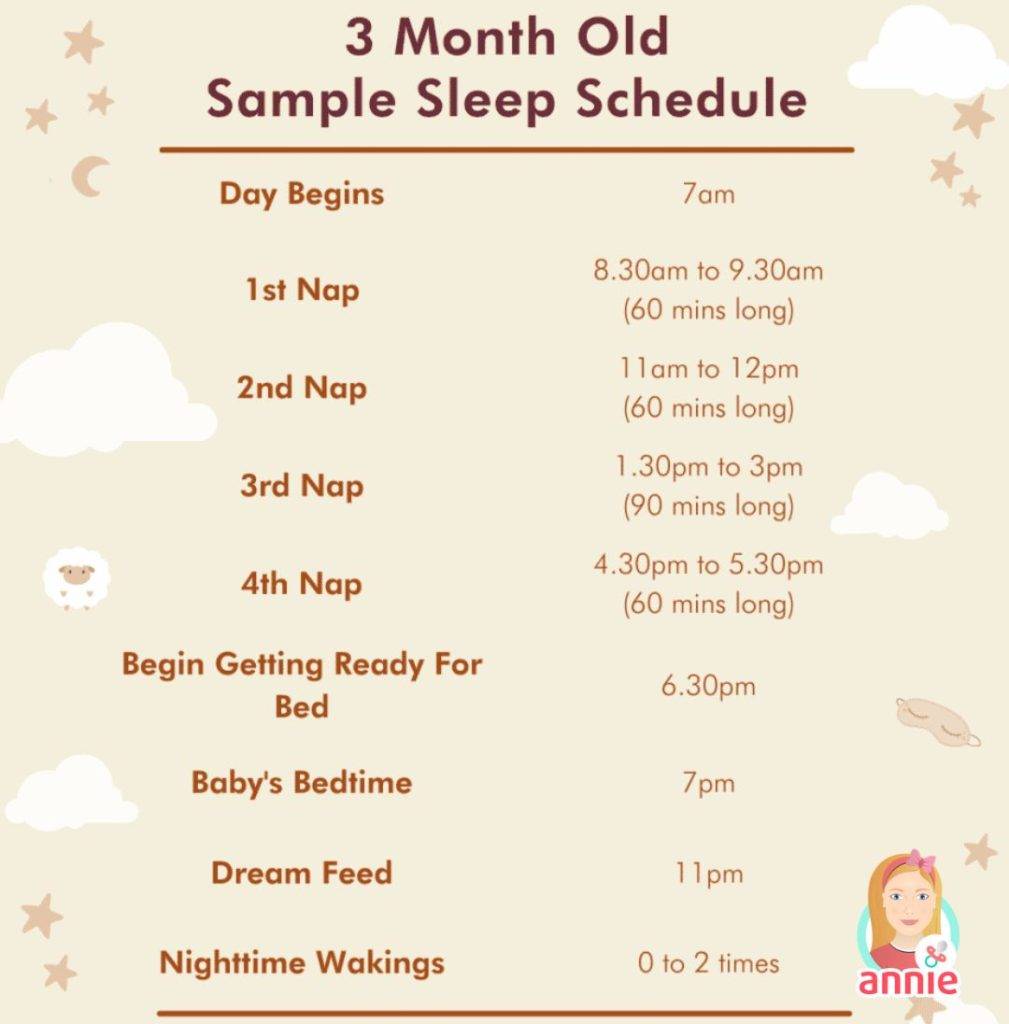Tips For Drafting The 3 Month Old Sleep Schedule Annie Baby Monitor Tips For Drafting The 3 Month Old Sleep Schedule Annie Baby Monitor